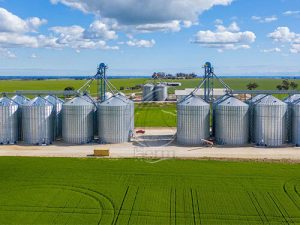 Flat Bottom Silo | Flat Bottom Bins for Sale - Herm Machinery