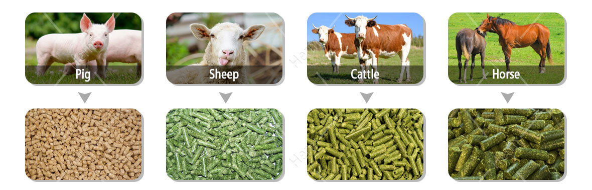 Livestock Feed Mill | Livestock Feed Processing Machine for Sale